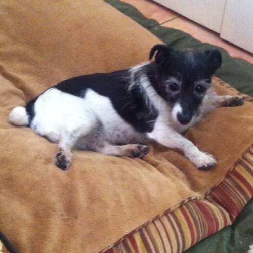 Stream It's Cool We Can Still Be Friends by drizzyizzy | Listen online ...