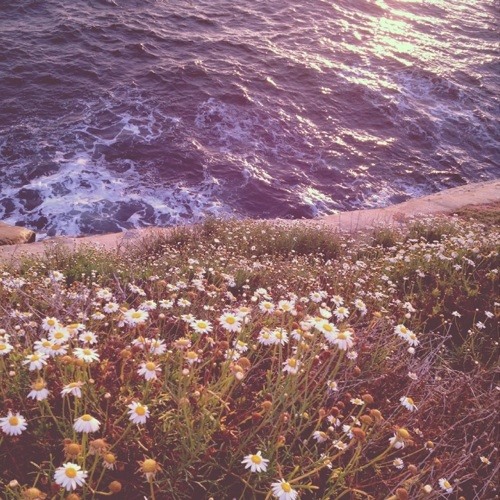 Stream ashley13890 music | Listen to songs, albums, playlists for free ...