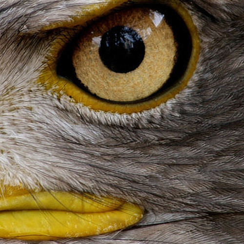 Stream Filip FK Kaleta music | Listen to songs, albums, playlists for ...