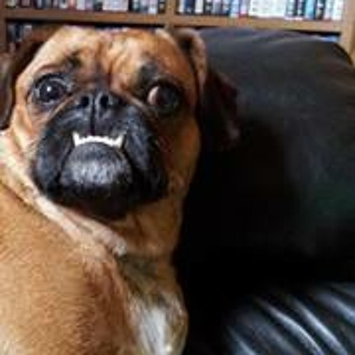 Stream Amy Kinsey music | Listen to songs, albums, playlists for free ...