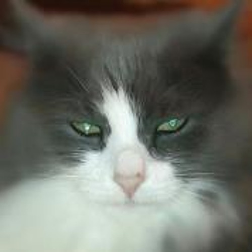 Stream Walker, texas ranger Snot rocket.mp3 by Shane Hales | Listen ...