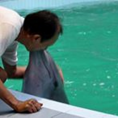 Stream Tony Foo music | Listen to songs, albums, playlists for free on ...