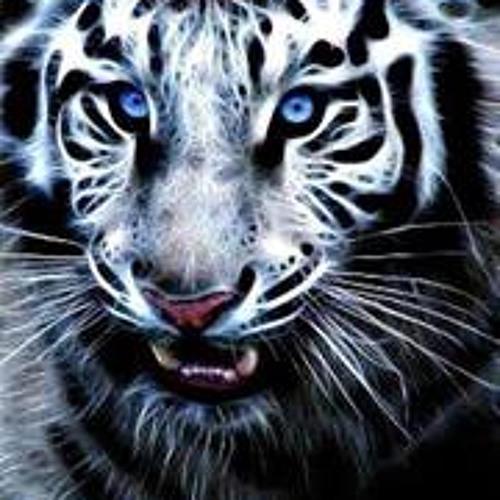 Stream Aron Rodriguez 2 music | Listen to songs, albums, playlists for ...