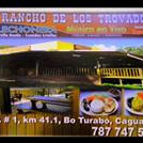 Stream Lechonera Trovadores music | Listen to songs, albums, playlists ...