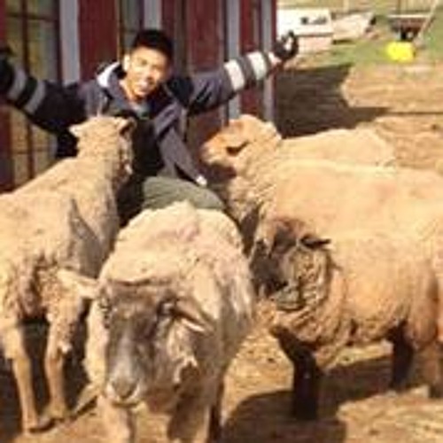 Stream Jonah Chang 1 music | Listen to songs, albums, playlists for ...