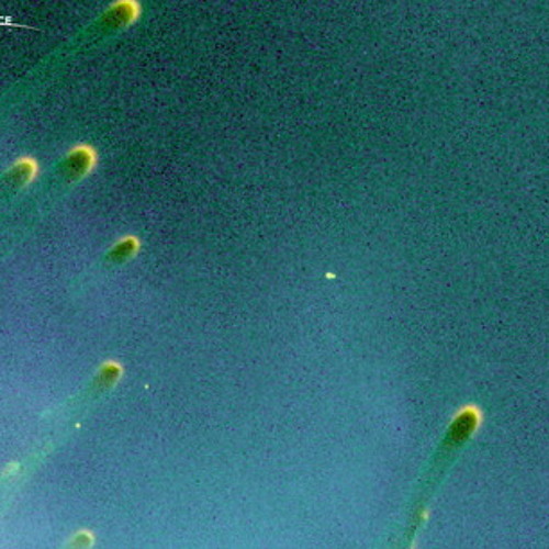 Stream Emilia Powell music | Listen to songs, albums, playlists for ...