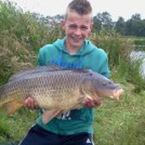 Stream Justin van Oosten music | Listen to songs, albums, playlists for ...