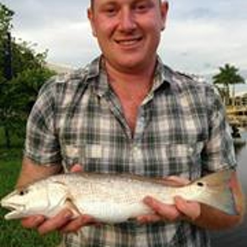 Stream Mark T. Davis music | Listen to songs, albums, playlists for ...