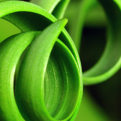 Stream 02 Jam Clip (Tenor Sax) by Roxy Weller | Listen online for free ...