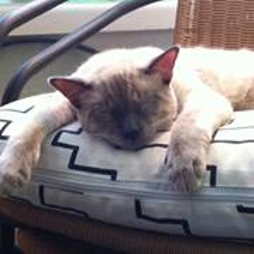 Stream Chris Cloninger music | Listen to songs, albums, playlists for ...