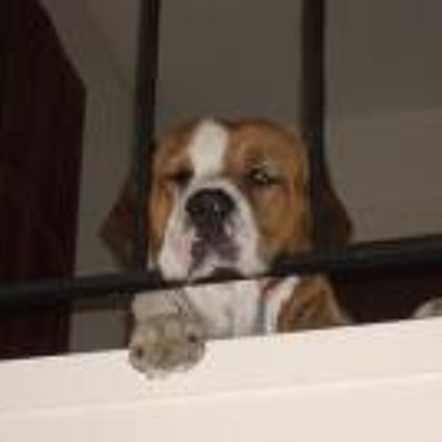 Stream Dee Hawley-Routon music | Listen to songs, albums, playlists for ...