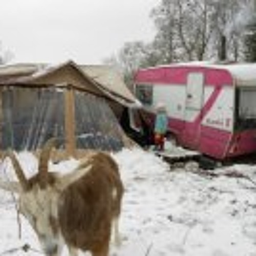 Stream Saul Baum music | Listen to songs, albums, playlists for free on ...