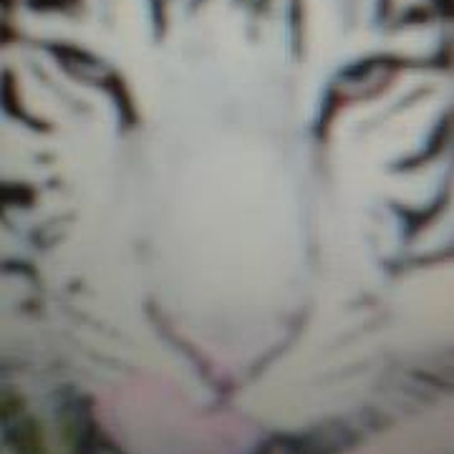 Stream Clare Halpin music | Listen to songs, albums, playlists for free ...