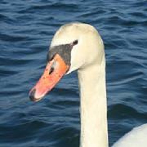 Stream Masato Funaki music | Listen to songs, albums, playlists for ...