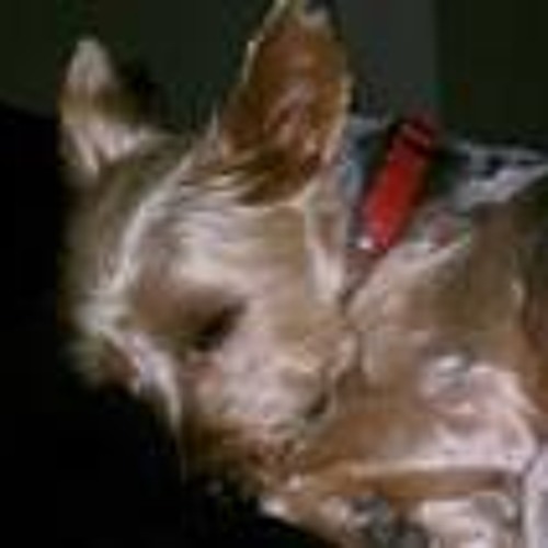 Stream Jennifer Cheney music | Listen to songs, albums, playlists for ...