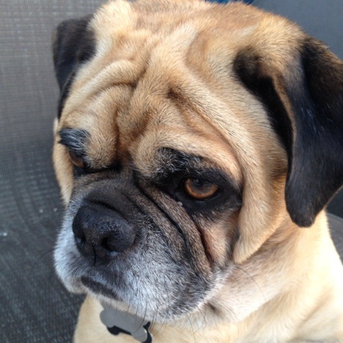 Stream Konami Intro. Metal Gear Solid by Bustajay | Listen online for ...