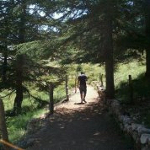 Stream Emile Nassar music | Listen to songs, albums, playlists for free ...