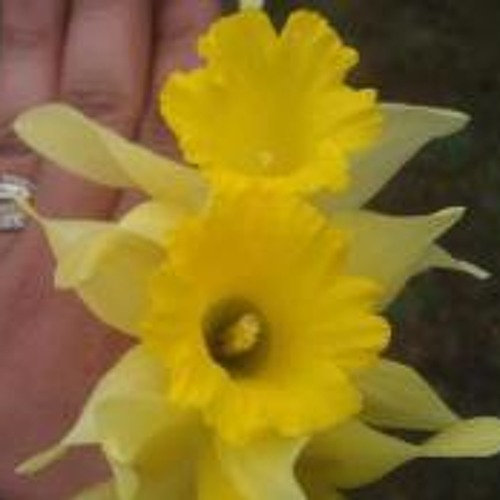 Stream Amy Ortiz 4 music | Listen to songs, albums, playlists for free ...