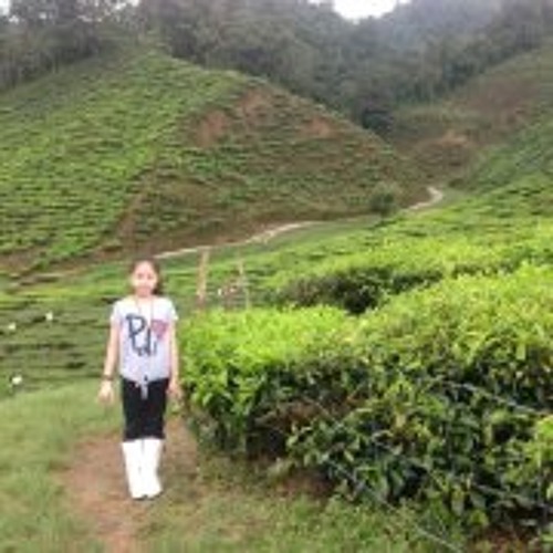 Stream Joey Liew 3 music | Listen to songs, albums, playlists for free ...