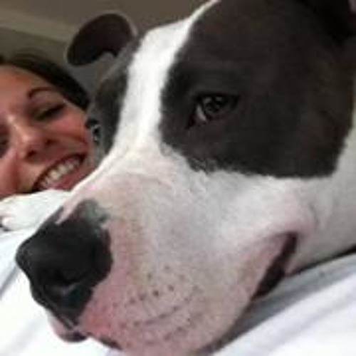 Stream Jessica Roelofs music | Listen to songs, albums, playlists for ...