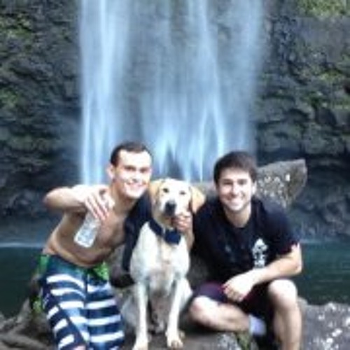 Stream Dan Holtzman music | Listen to songs, albums, playlists for free ...