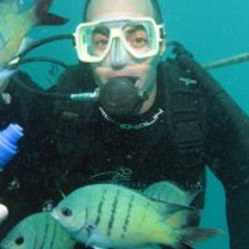 Stream Stuart Brooker music | Listen to songs, albums, playlists for ...