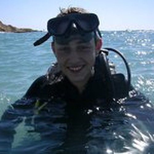 Stream Dominique Willems 1 music | Listen to songs, albums, playlists ...