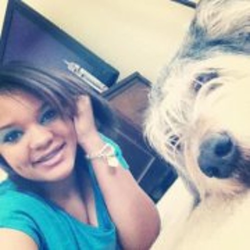 Stream Sadie Rachelle Reels music | Listen to songs, albums, playlists ...