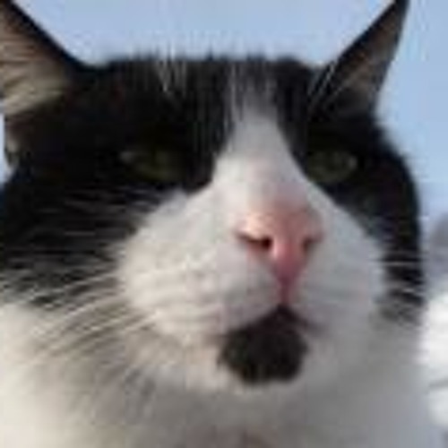 Stream Maximilien Ganossa music | Listen to songs, albums, playlists ...