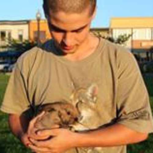 Stream Sage Trimarco music | Listen to songs, albums, playlists for ...