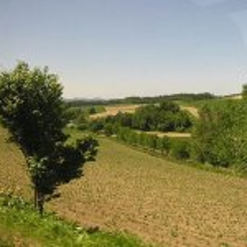 Stream Hazel Chen music | Listen to songs, albums, playlists for free ...