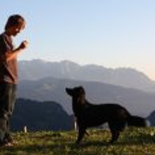 Stream Philipp Barthel 2 music | Listen to songs, albums, playlists for ...