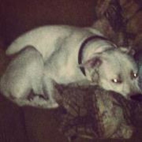 Stream Jake Skidmore 1 music | Listen to songs, albums, playlists for ...