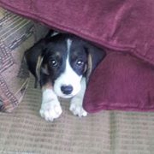 Stream Katelyn Goodman music | Listen to songs, albums, playlists for ...