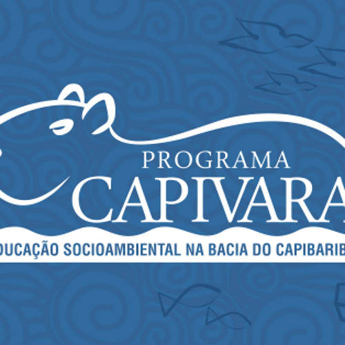 Stream Programa Capivara music | Listen to songs, albums, playlists for free on SoundCloud