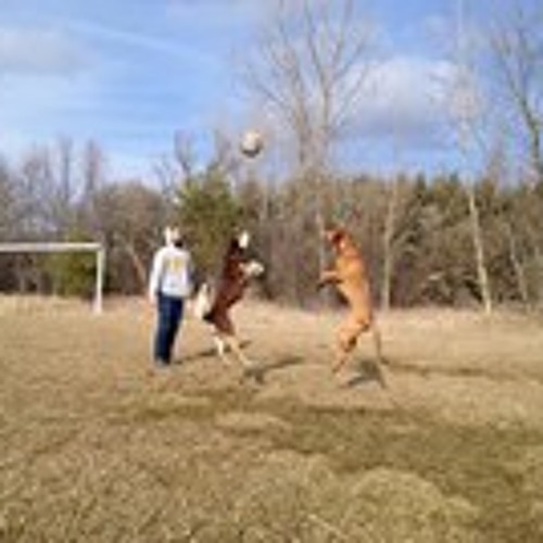 Stream Jeremy Aaron Mich music | Listen to songs, albums, playlists for ...