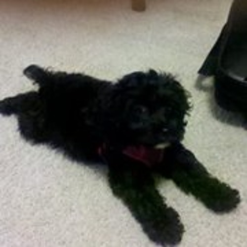 Stream Teri Hicks-Boyd music | Listen to songs, albums, playlists for ...