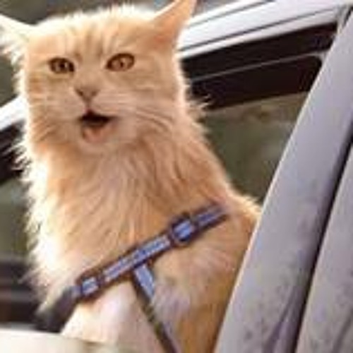 Stream Stuart Hendry 2 music | Listen to songs, albums, playlists for ...