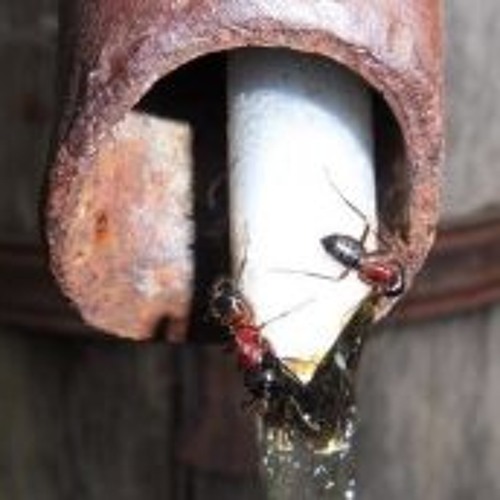 Stream Knut Schulz music | Listen to songs, albums, playlists for free ...