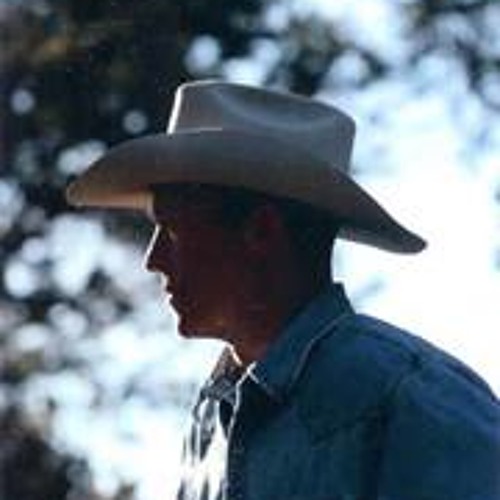 Stream Terry Tex Toler music | Listen to songs, albums, playlists for ...