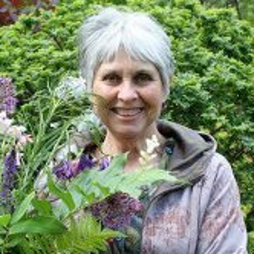 Stream Suzanne Bressler music | Listen to songs, albums, playlists for ...