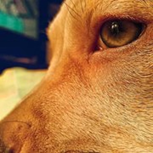 Stream Eric Mendez Quiroz music | Listen to songs, albums, playlists ...