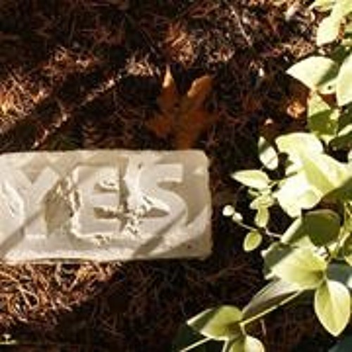 Stream ashley.spindler music | Listen to songs, albums, playlists for ...