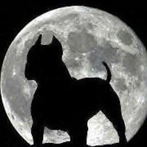 Stream Will Edwards 16 music | Listen to songs, albums, playlists for ...