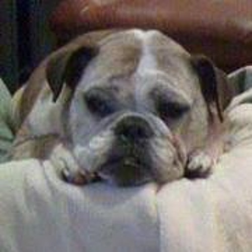 Stream Don Rebsamen music | Listen to songs, albums, playlists for free ...