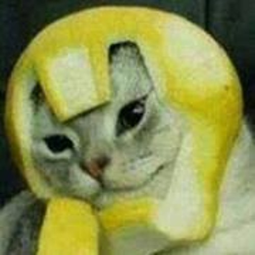 Stream Mitchell Broomhilda Poola music | Listen to songs, albums ...