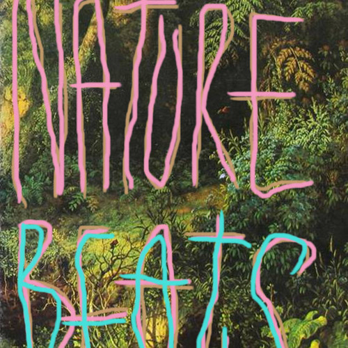 Stream Nature Beats music | Listen to songs, albums, playlists for free ...