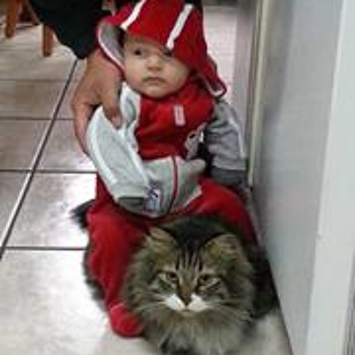 Stream Every Rose Has It's Thorn, Garota De Ipanema - Camila Arce by ...