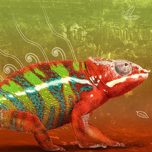 Stream Ibrahim Rasheed 6 music | Listen to songs, albums, playlists for free on SoundCloud