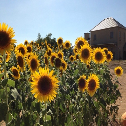 Stream Yuka Ota music | Listen to songs, albums, playlists for free on ...